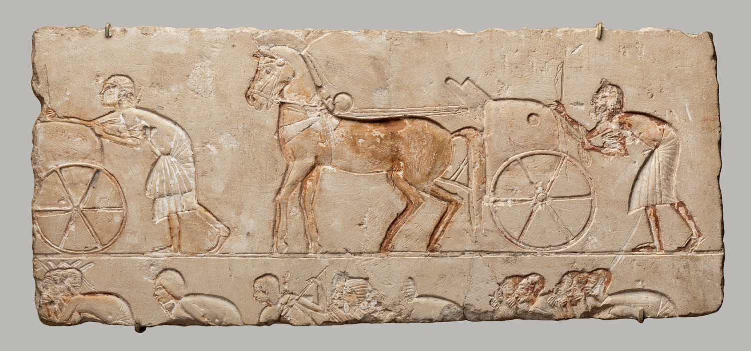 Horses in Ancient Egypt, Part III: The Skeletons – The Horse in Word ...